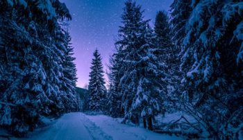 17 Holidays in December That Aren’t Christmas - The Nerdy Nanny